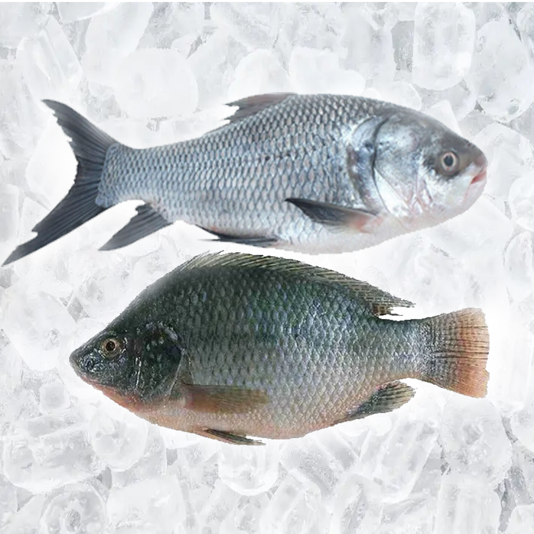 Chilled Fish - A.M. Exporters